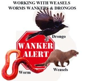 WORKING WITH WEASELS WORMS WANKERS AND DRONGOS – ABALINX