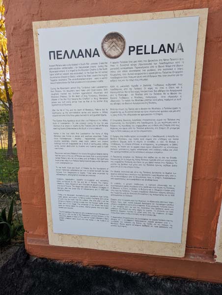 ANZAC Lions | ABALINX